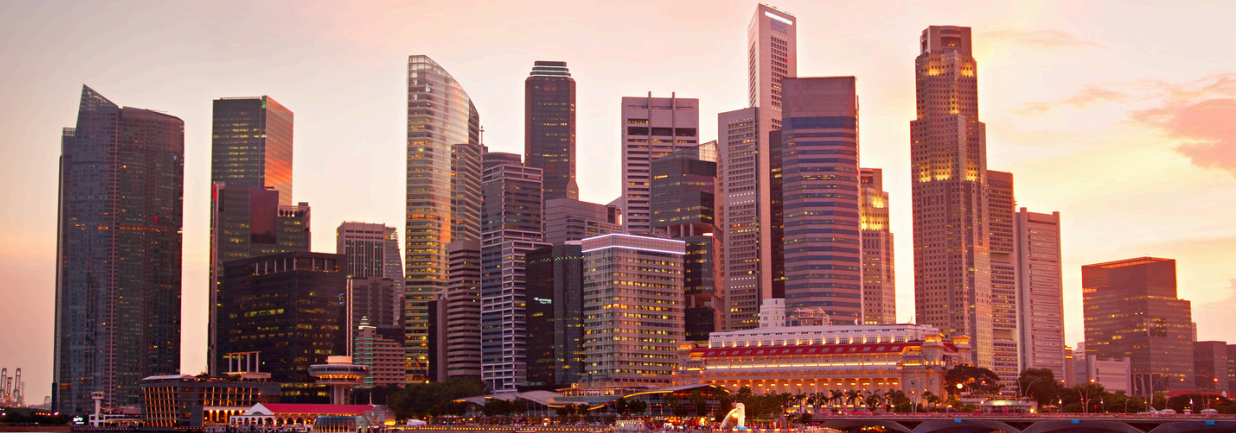 Real Estate Service Alendei Platform's Success Story - Alendei Platforms